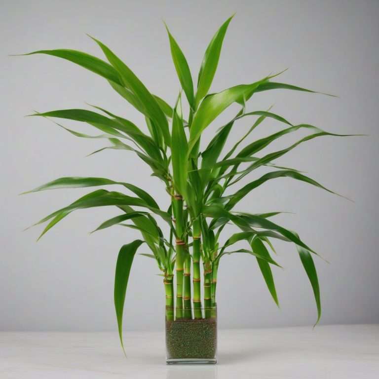 How Tall Can Bamboo Grow in a Day: Amazing Growth Rates Explained ...