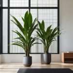 How Tall Will Bamboo Grow: Ultimate Height Guide for Gardeners ...