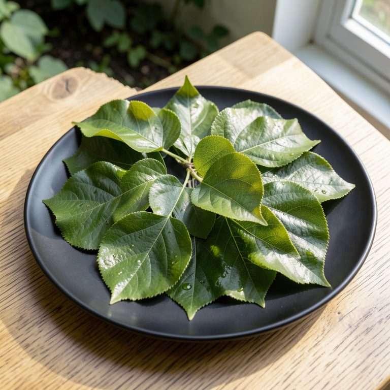 Identification Pear Tree Leaves: Simple Visual Guide for Gardeners ...