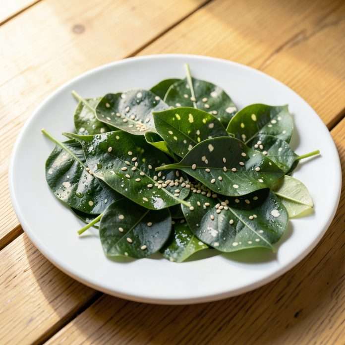 White Spots On Moringa Leaves: Powdery Mildew Prevention And Cure ...